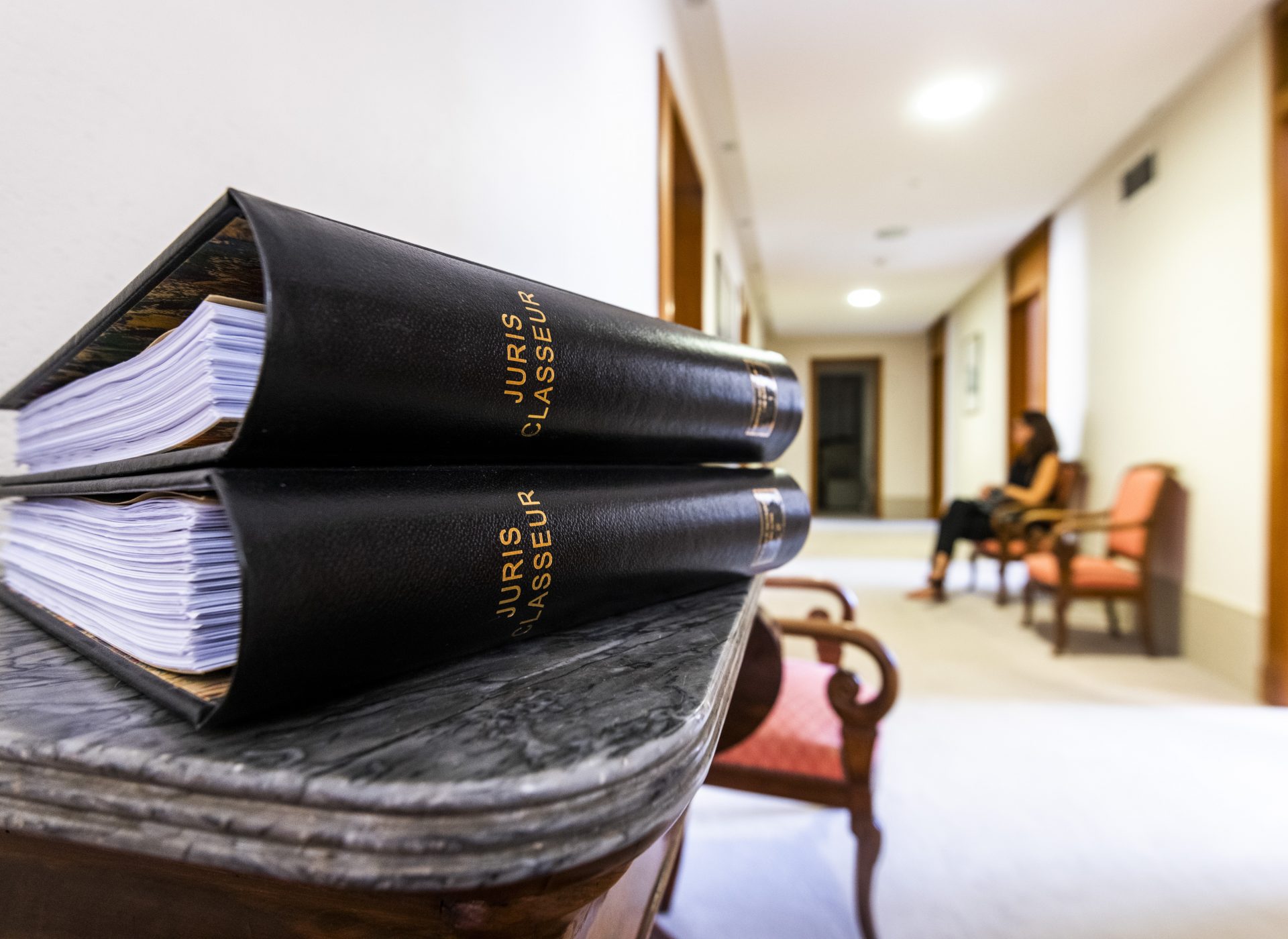 OFFICE DU DÔME - eluère